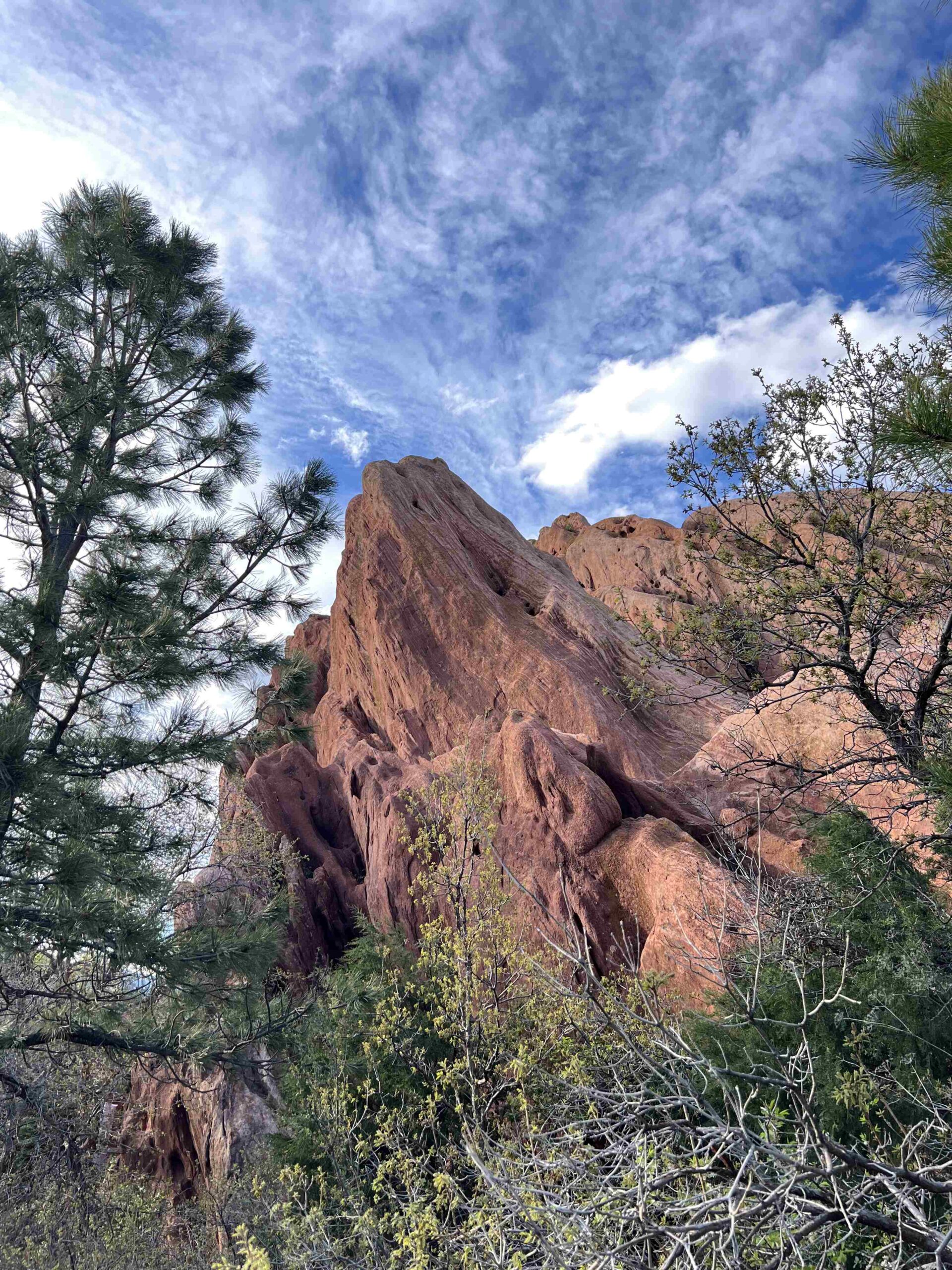 The Essential Guide to Egress Windows | Wallaby Windows Denver